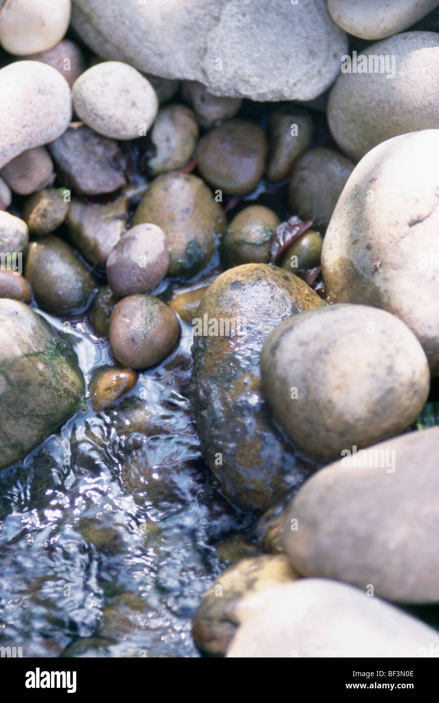 Close-up of pebbles and water Stock Photo - Alamy