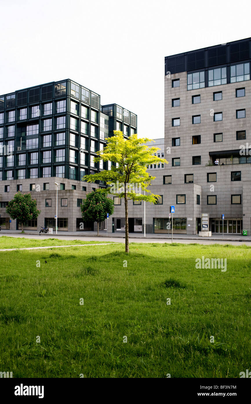 Milan tree buildings hi-res stock photography and images - Alamy