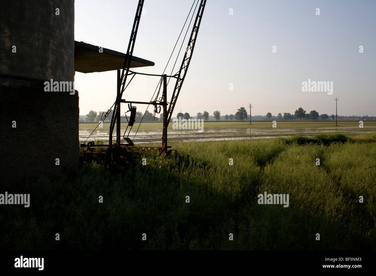 rice field near Mortara Italy Stock Photo - Alamy
