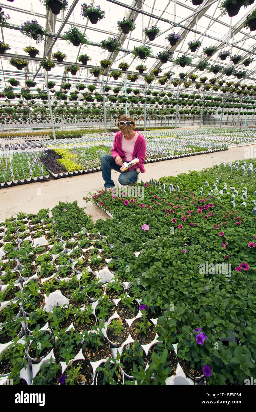 Plant data hi-res stock photography and images - Alamy