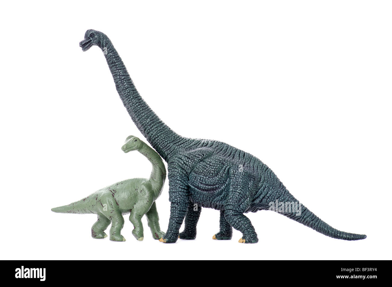 object on white - toy dinosaur close up Stock Photo - Alamy