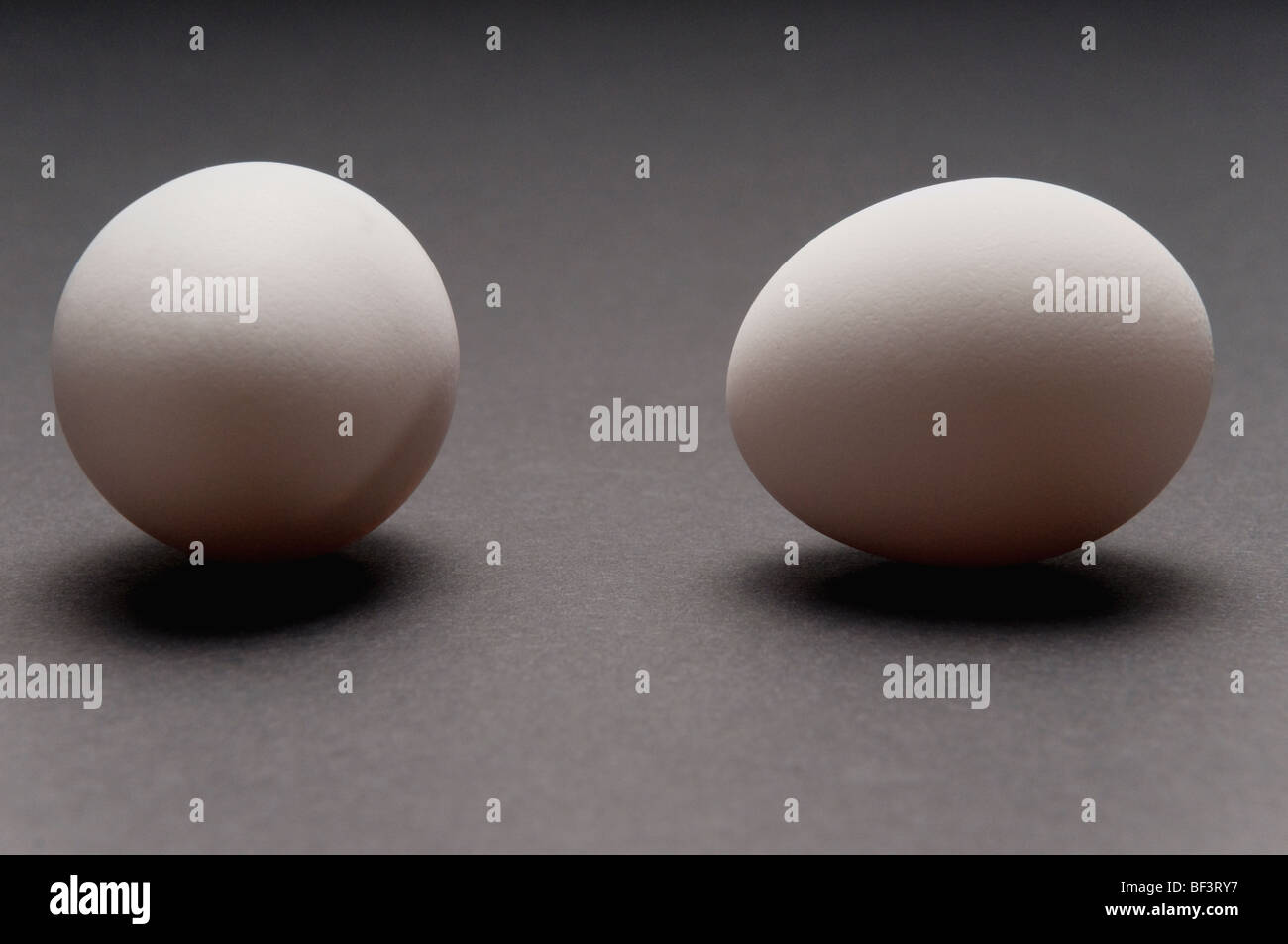 Close-up of two white eggs Stock Photo - Alamy