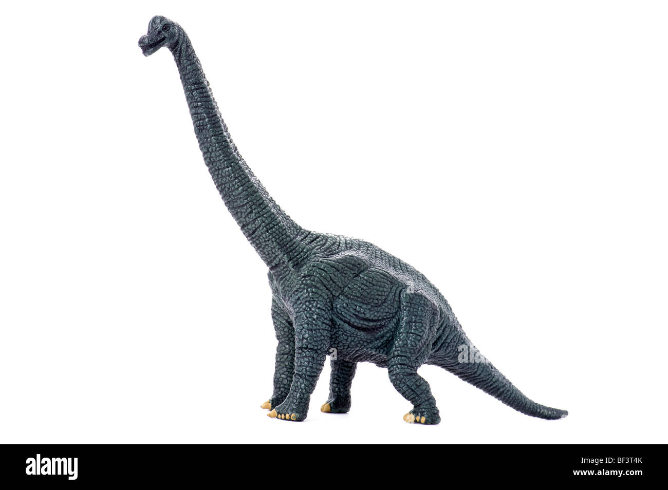 object on white - toy dinosaur close up Stock Photo - Alamy