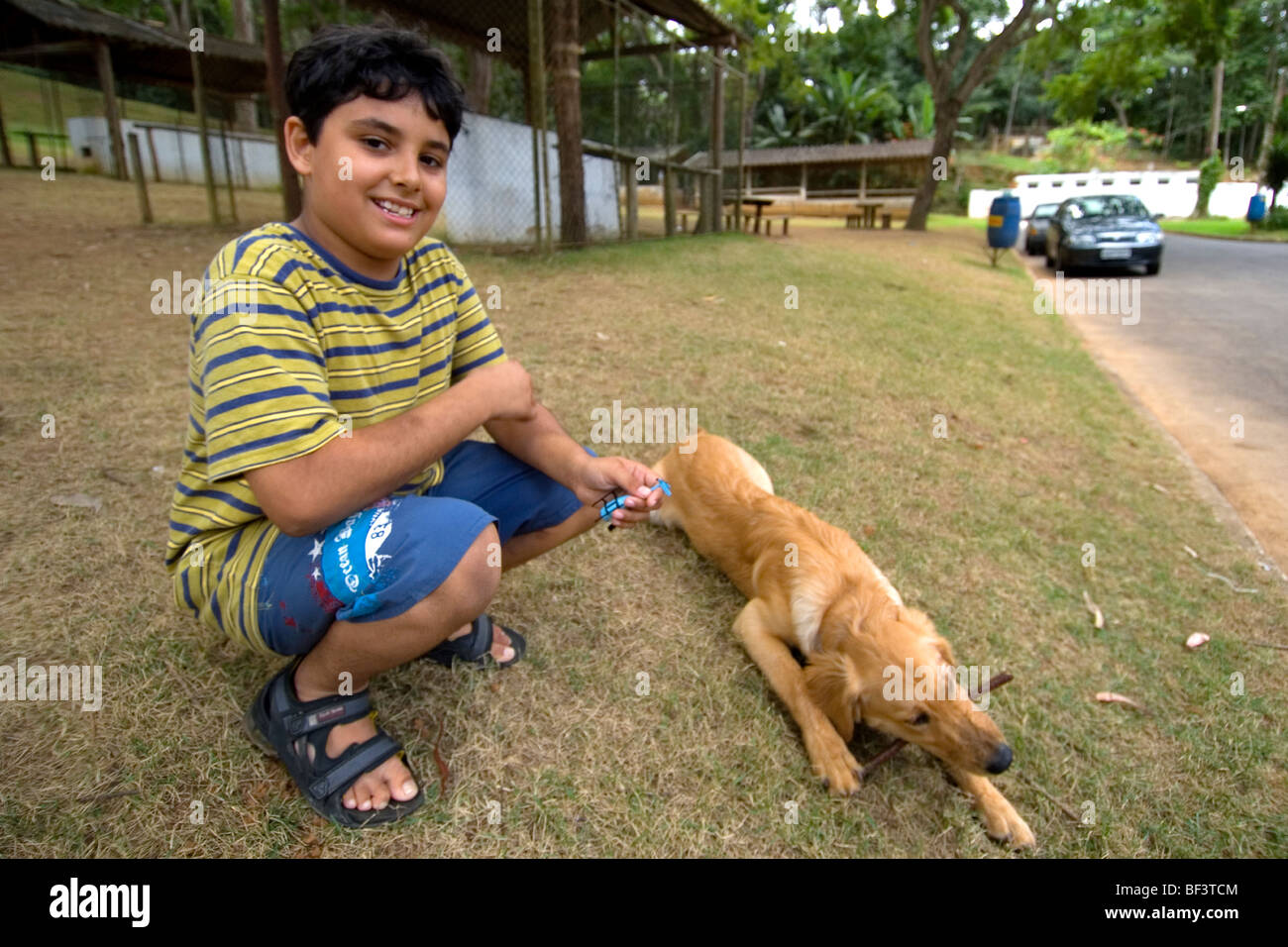 Brazilian Street Dog High Resolution Stock Photography and Images - Alamy