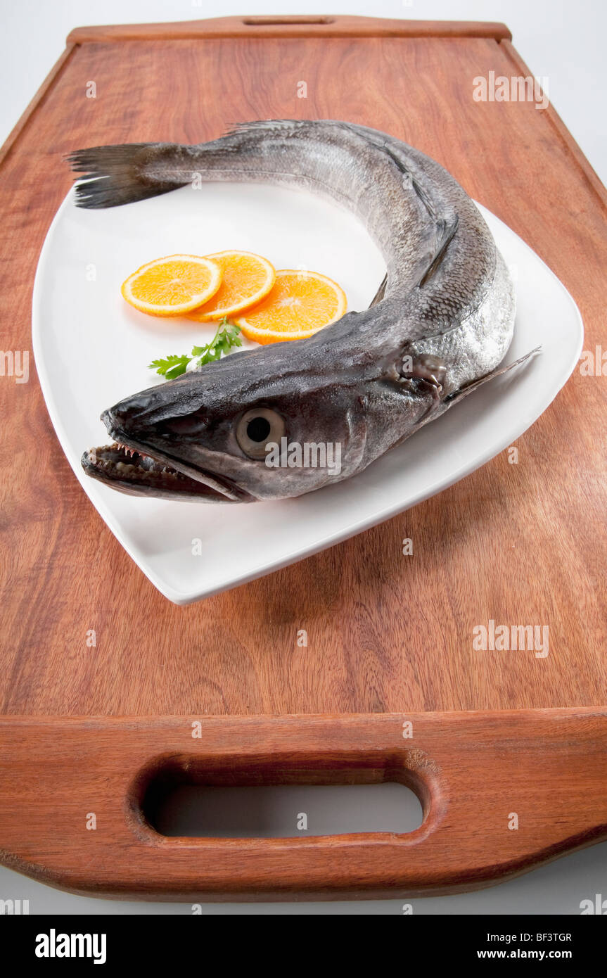 Whole animal hi-res stock photography and images - Alamy