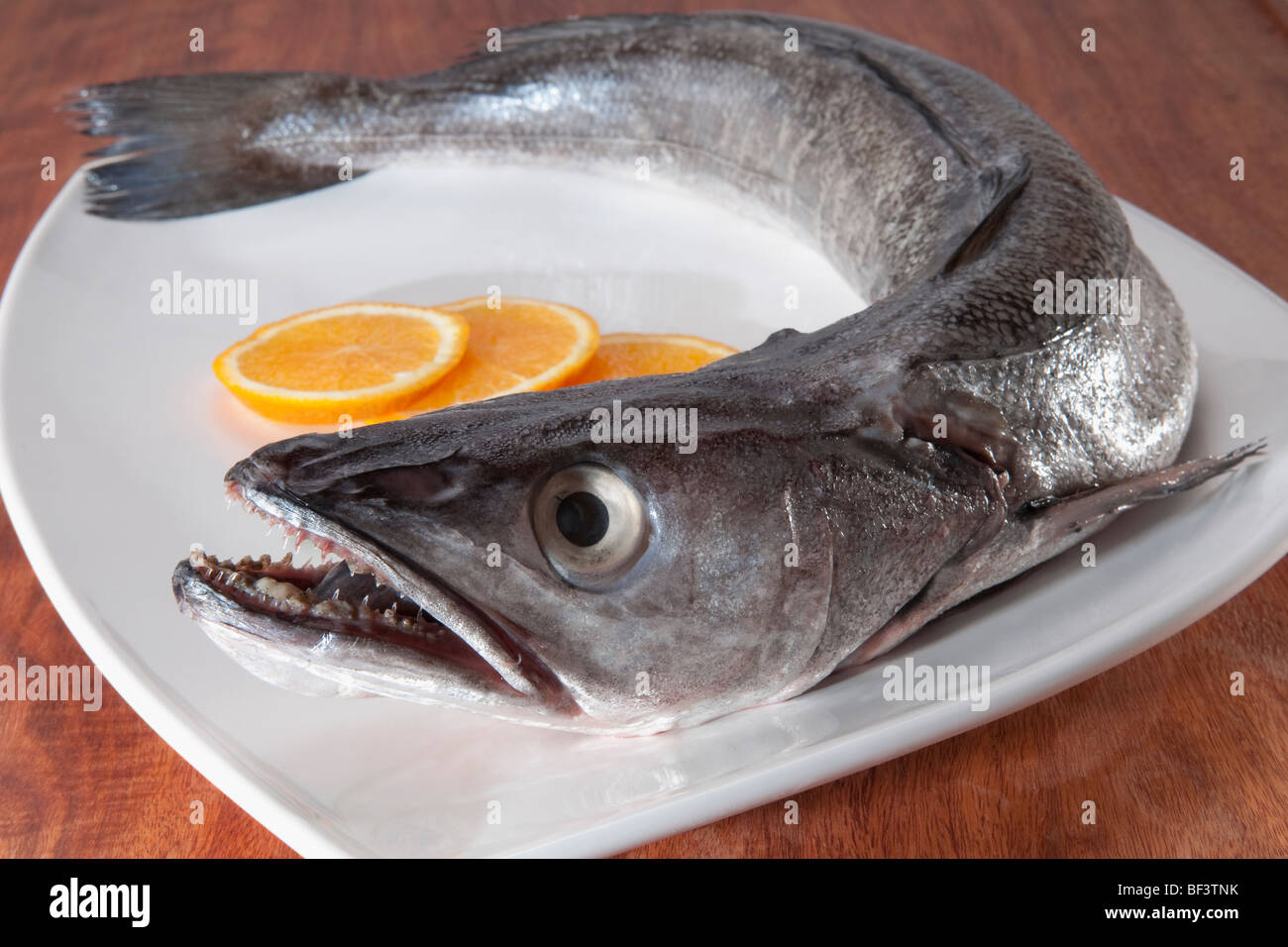 Close-up of a whole raw fish with orange slices Stock Photo - Alamy