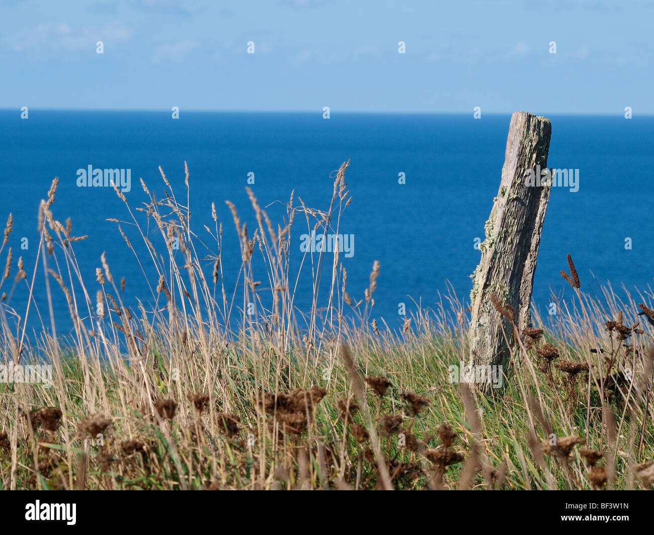 Old post and grass on cliff edge, North Cornwall Stock Photo - Alamy