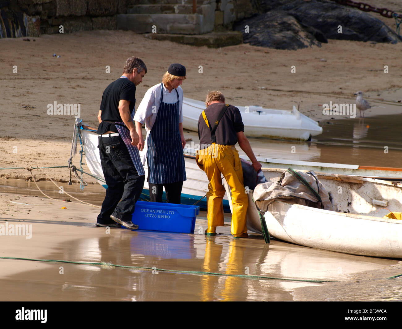 Chefs collecting the fresh catch of a large shark from fisherman for ...