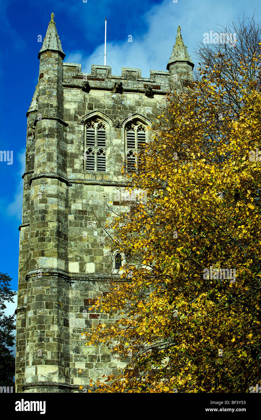 Wimborne Minster viewed in autumn where the golden leaves have begun to ...