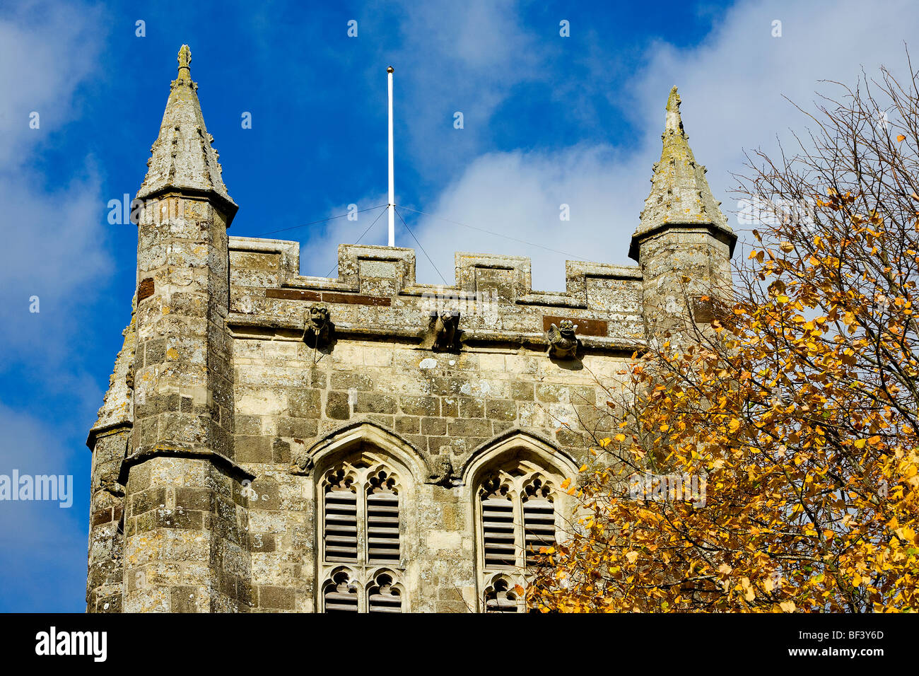 Wimborne Minster viewed in autumn where the golden leaves have begun to ...