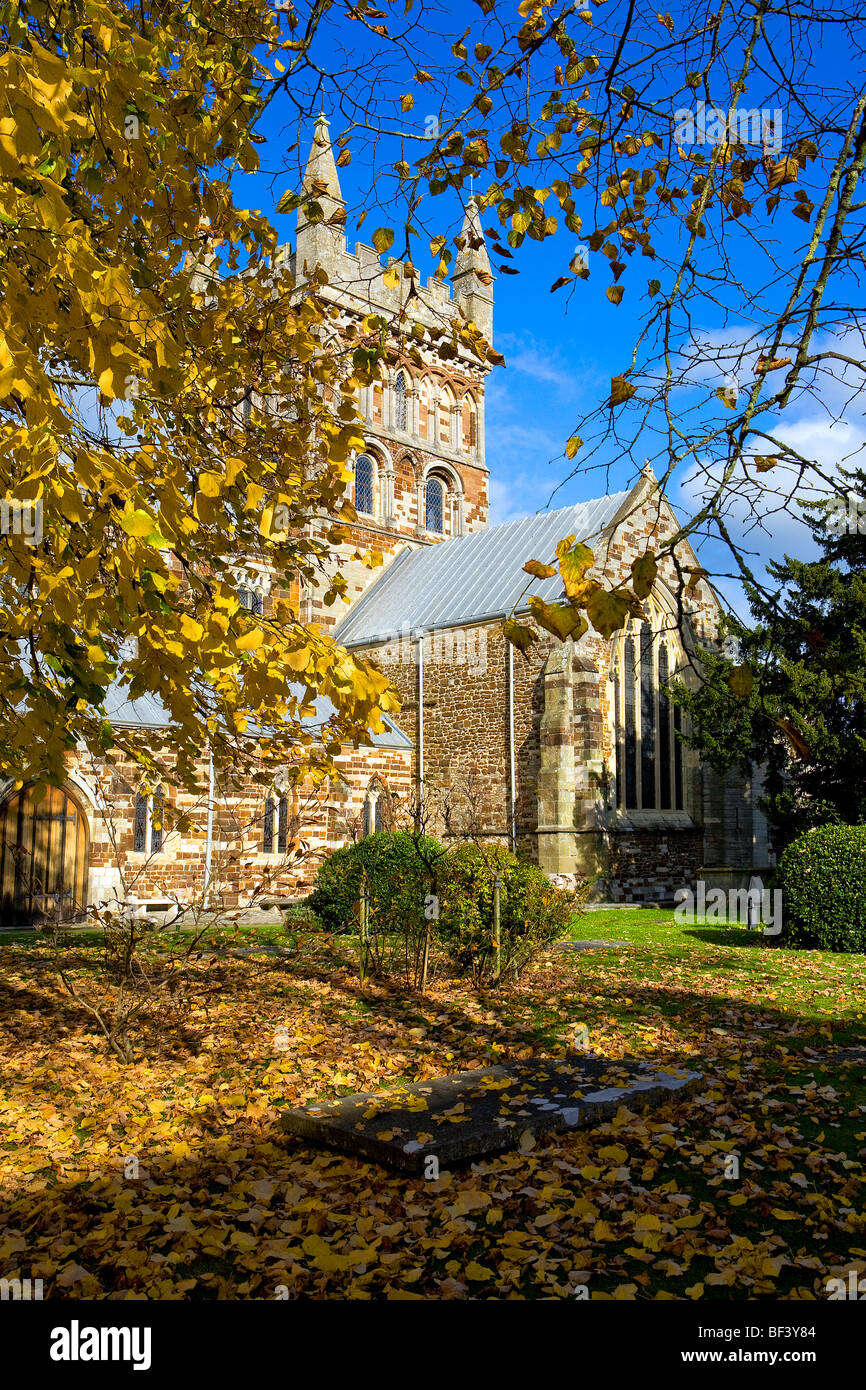 Wimborne Minster viewed in autumn where the golden leaves have begun to ...