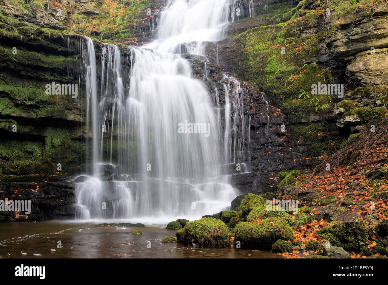 Scaleber force hi-res stock photography and images - Alamy