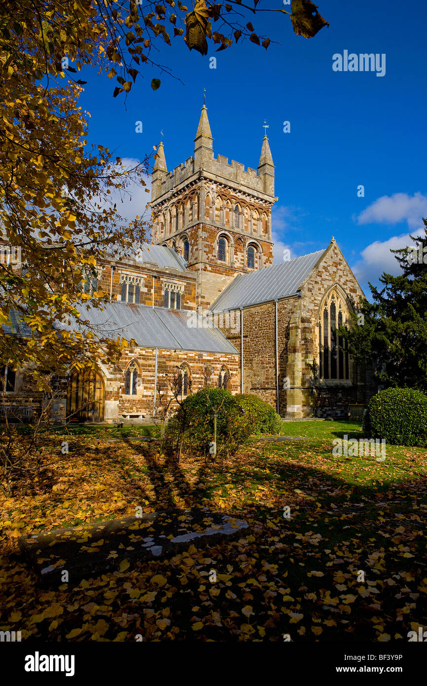 Wimborne Minster viewed in autumn where the golden leaves have begun to ...