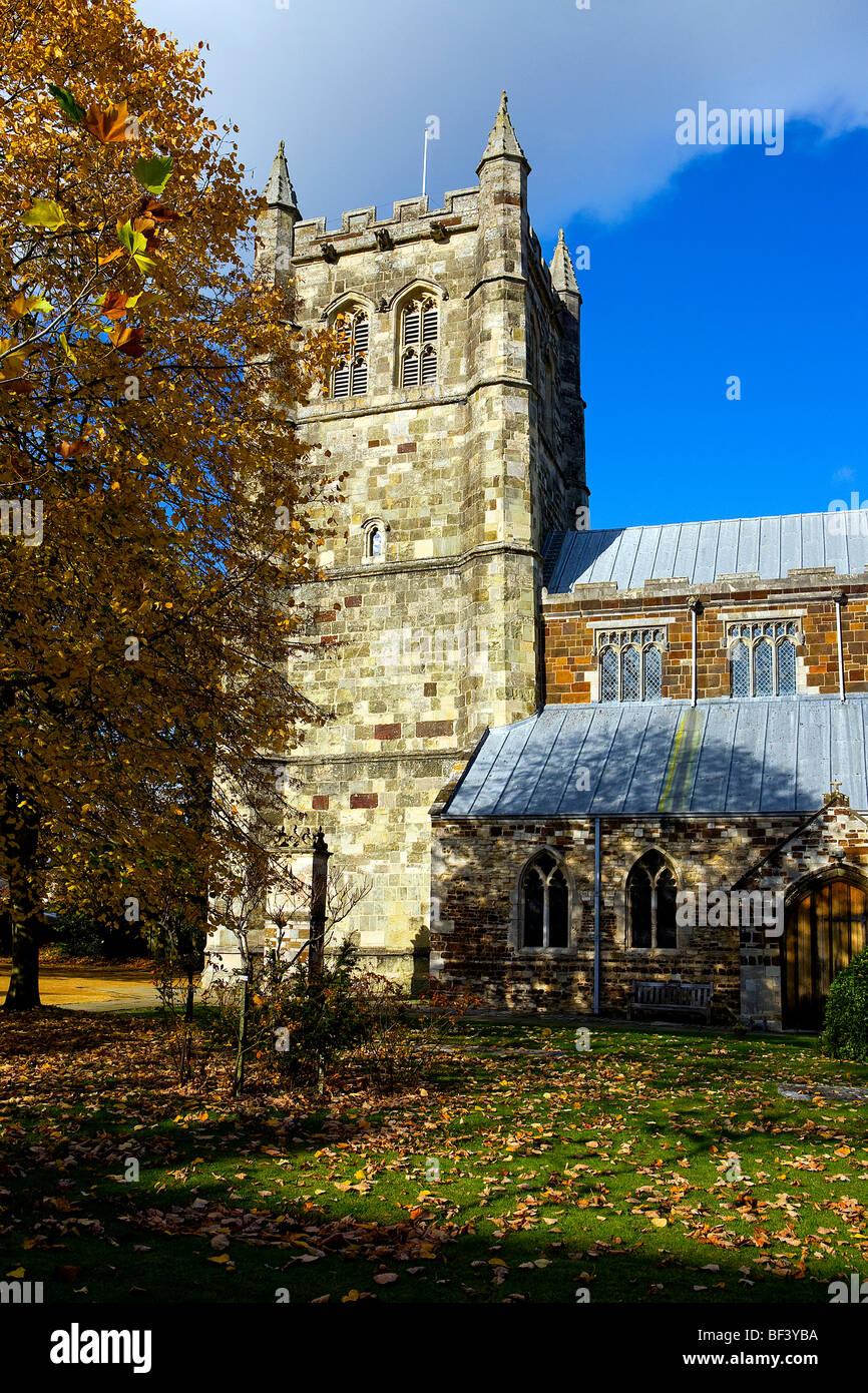 Wimborne minster river stour hi-res stock photography and images - Alamy