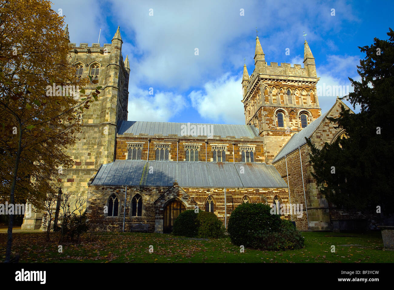 Wimborne Minster viewed in autumn where the golden leaves have begun to ...