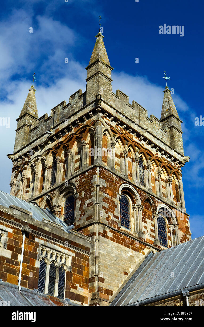 Wimborne Minster viewed in autumn where the golden leaves have begun to ...