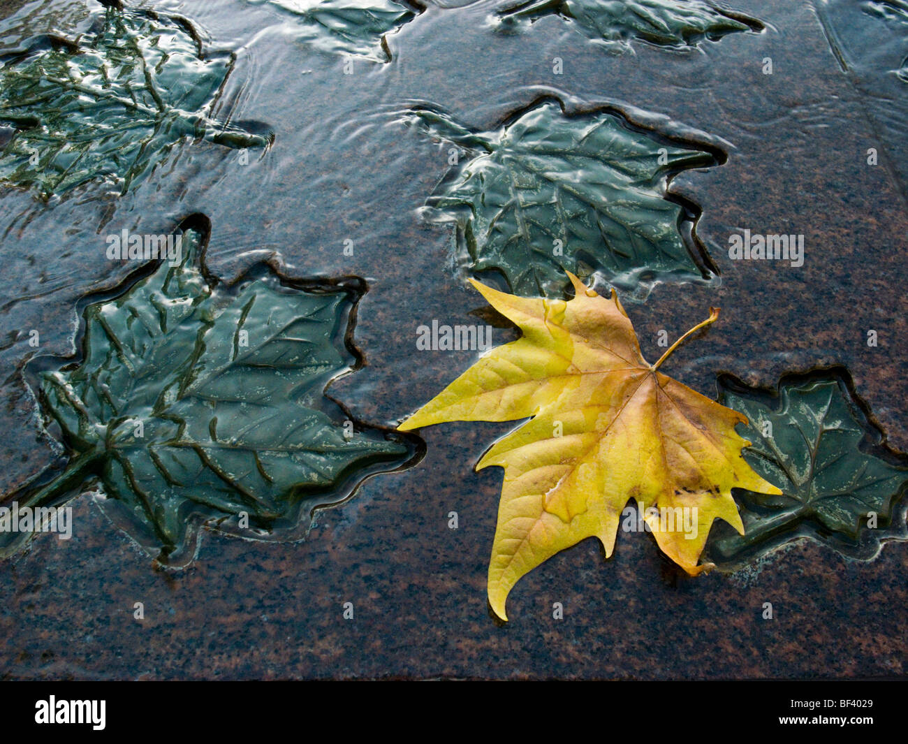 Canadian Armed Services War memorial with autumn leaf, Green Park ...