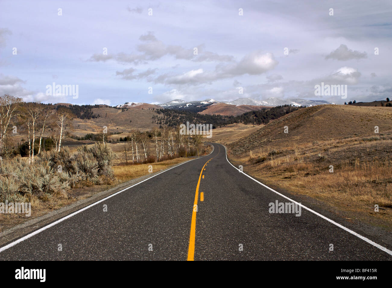 Road into Lamar Valley. Yellowstone National Park, Wyoming Stock Photo ...