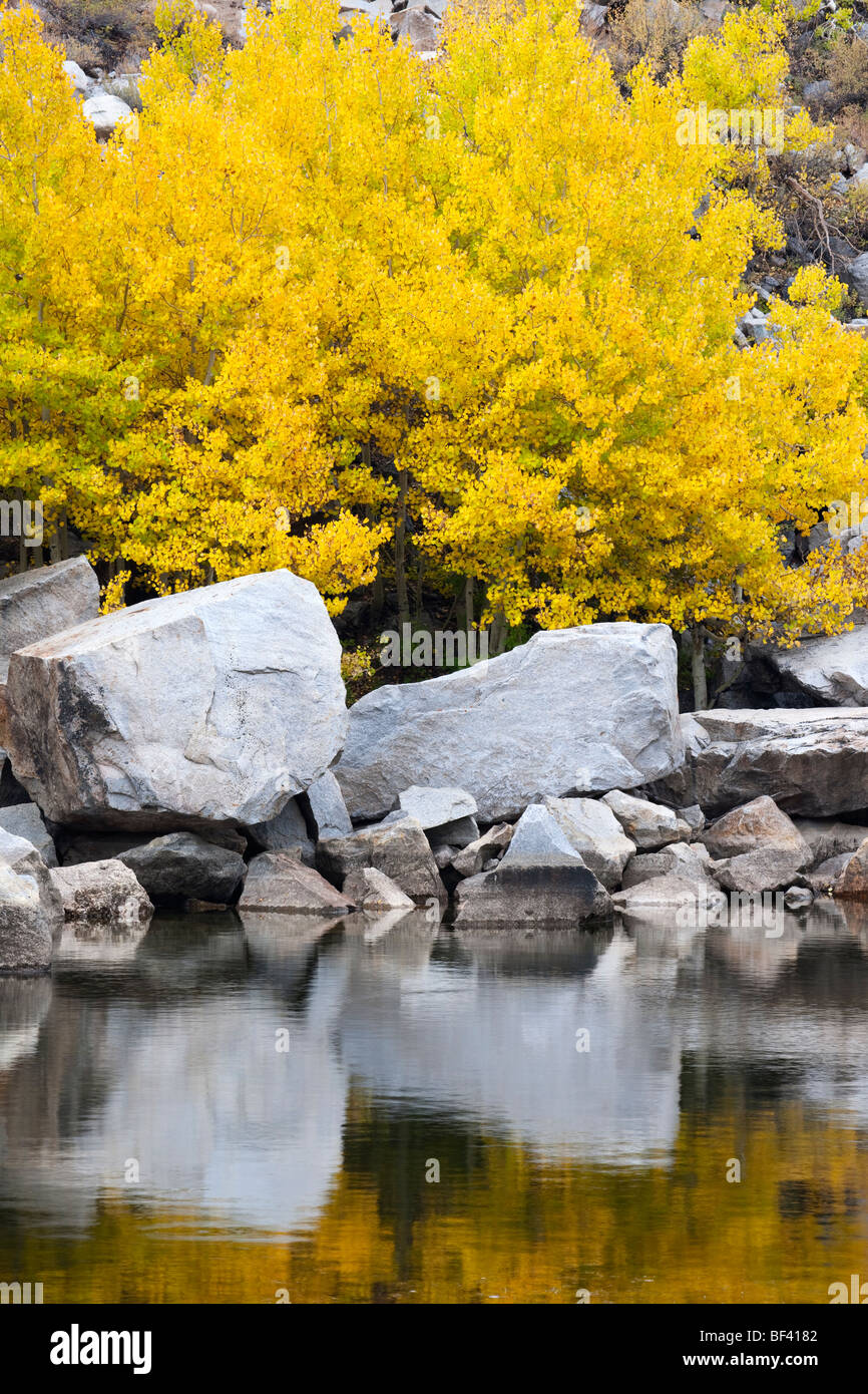 Colorful autumn aspen trees and granite boulders reflect into Cardinal ...