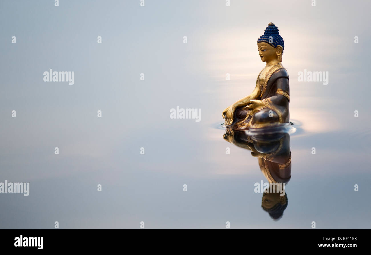 Buddha statue floating on calm still water surface in India Stock Photo ...