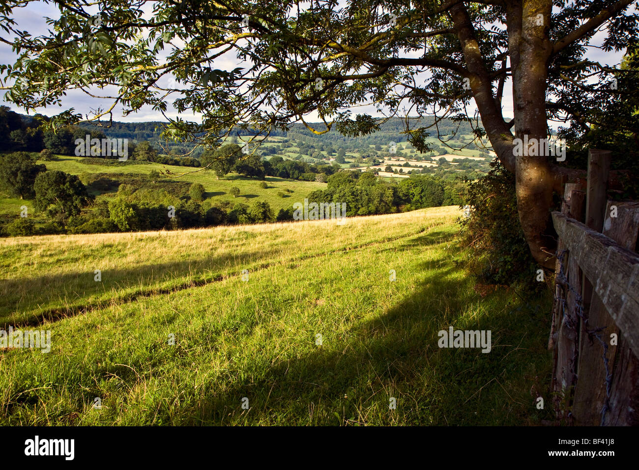 Glorious view of the Birdlip valley just outside Gloucester Stock Photo ...