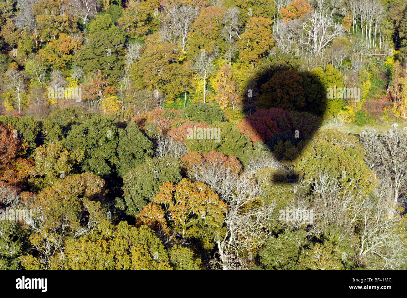 Hot air balloon shadow Stock Photo - Alamy
