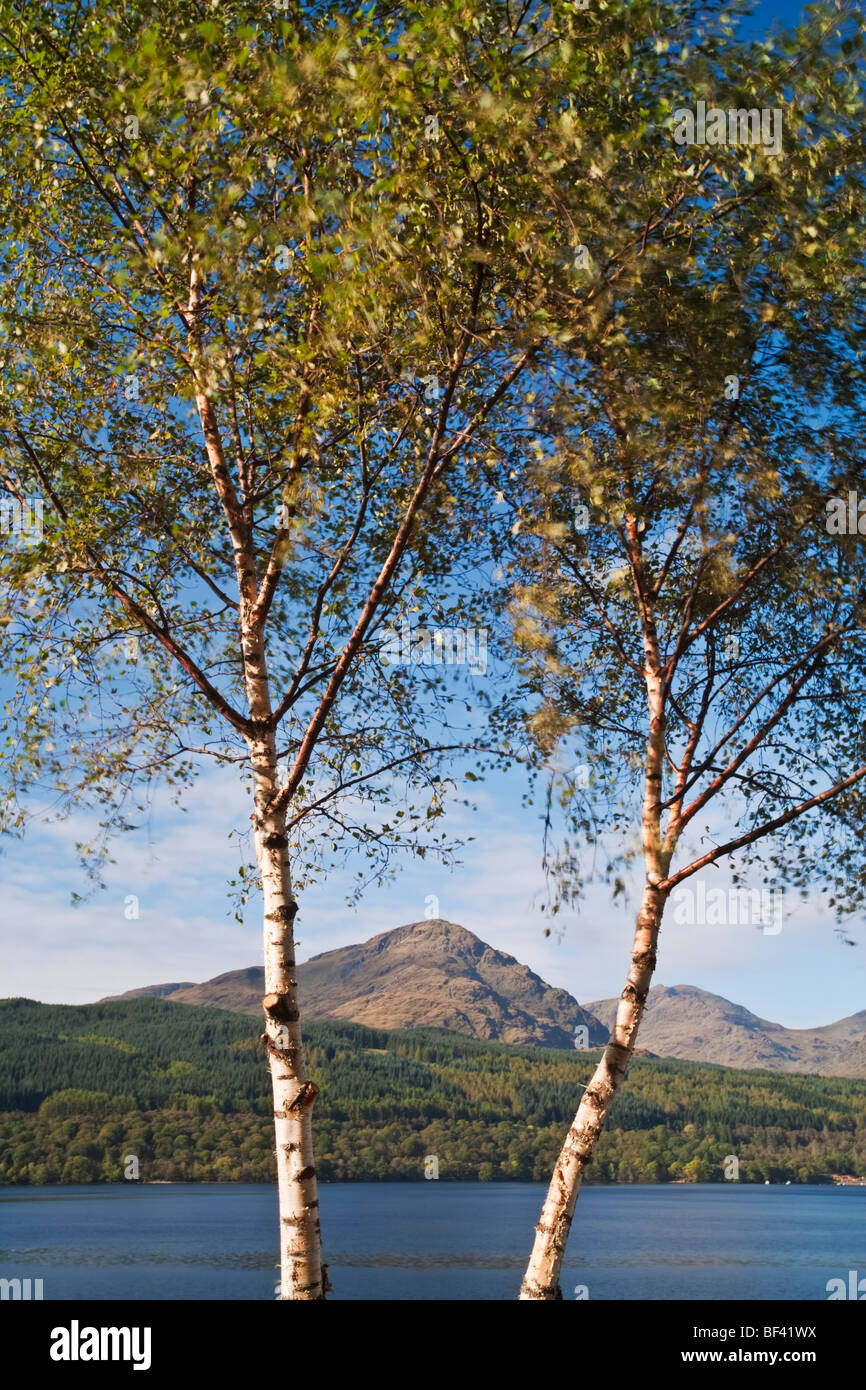 Loch lomond and trossachs autumn hi-res stock photography and images ...