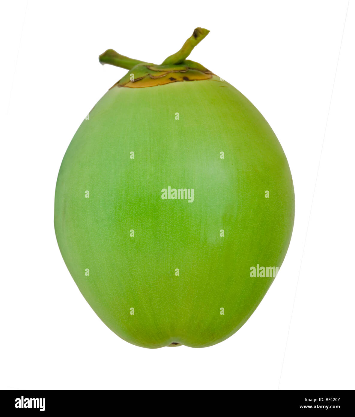 coconut cutout in white background Stock Photo - Alamy