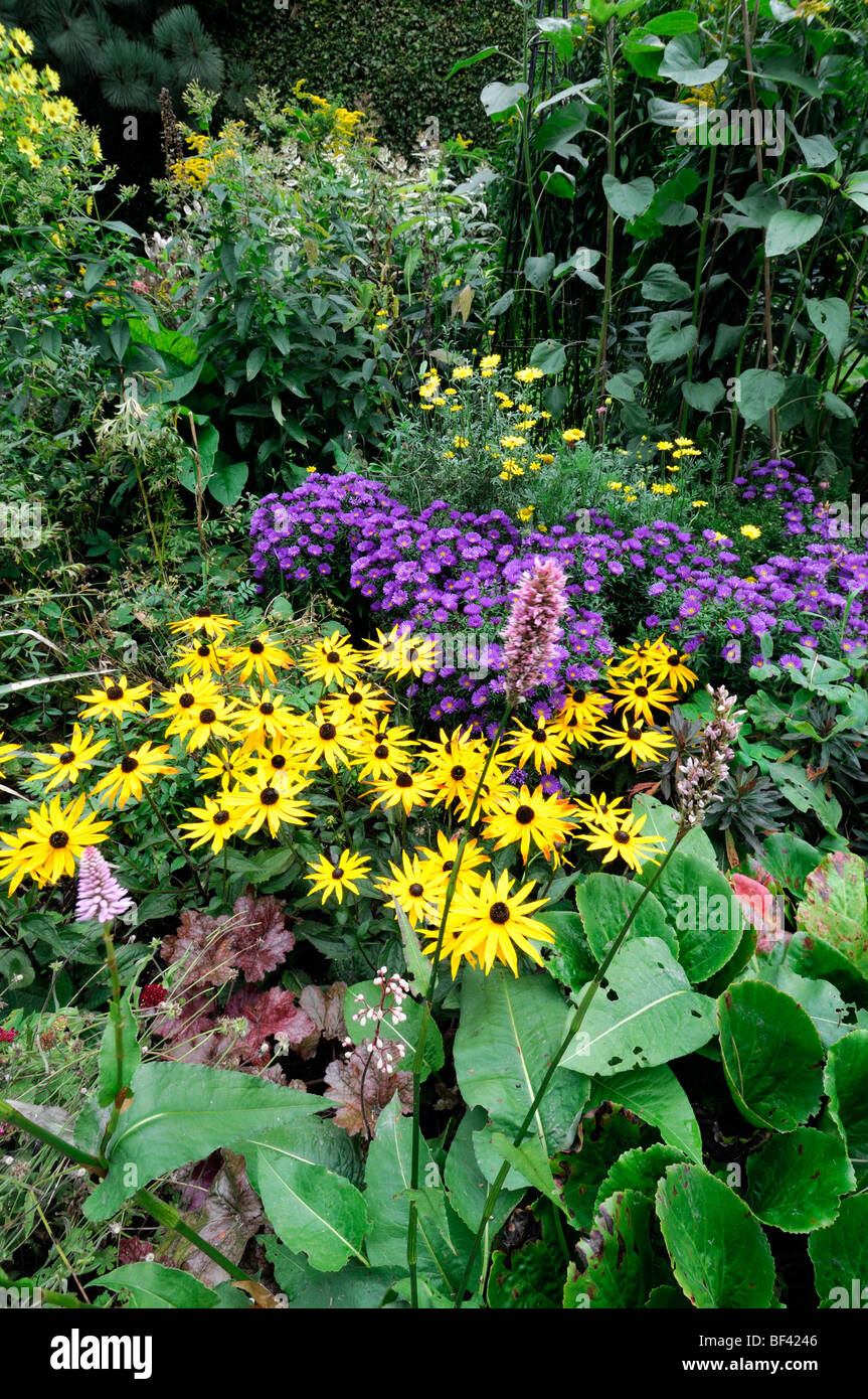 Late summer flowering hi-res stock photography and images - Alamy