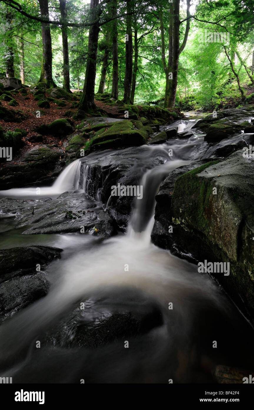 Cloghleagh River waterfall stream Wicklow Ireland Stock Photo - Alamy