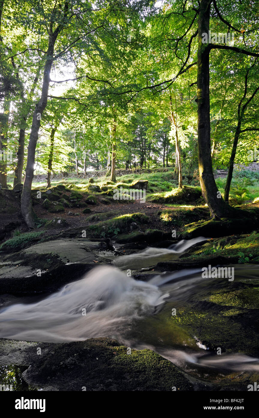 Cloghleagh River waterfall stream Wicklow Ireland Stock Photo - Alamy