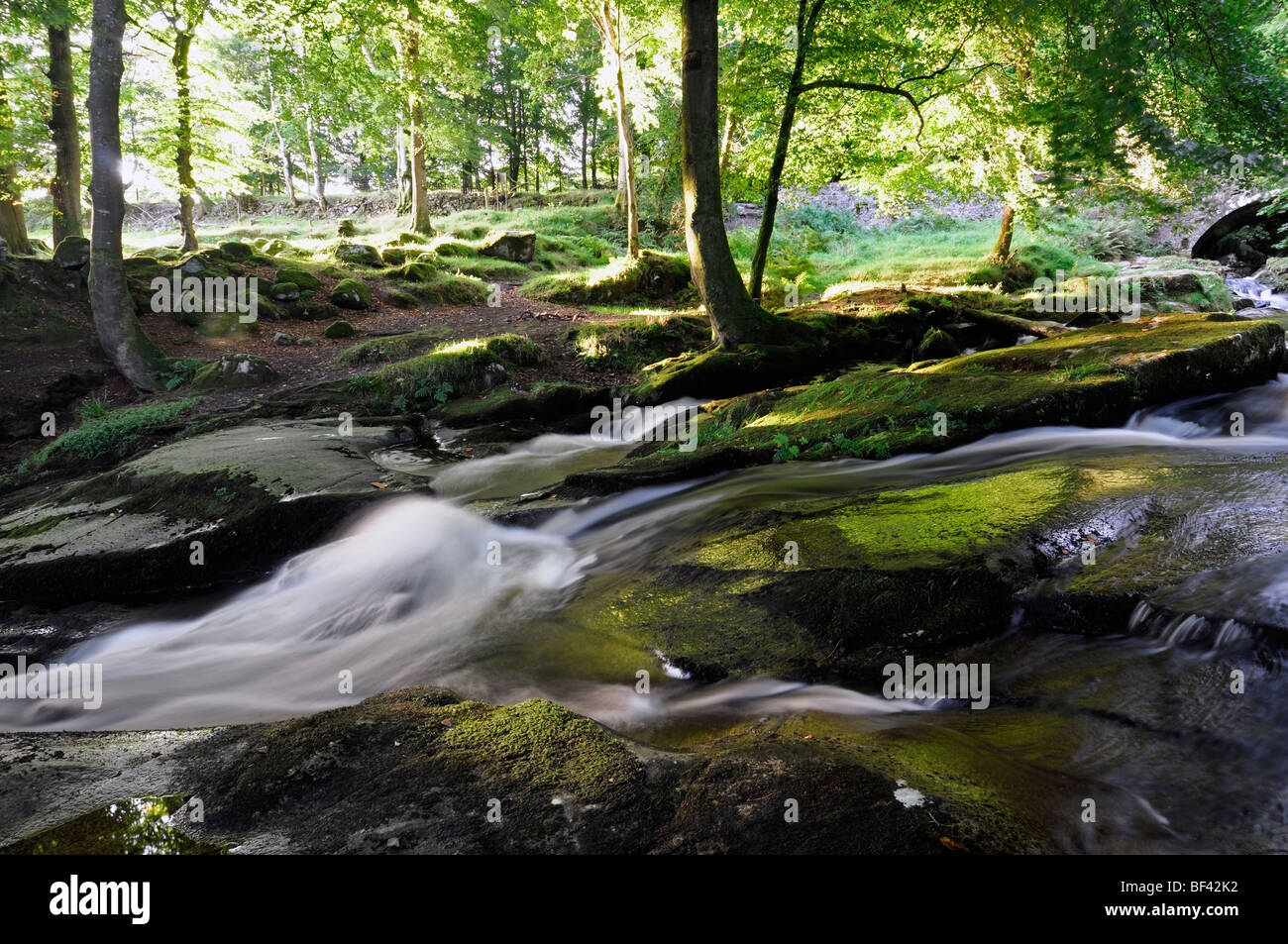 Cloghleagh River waterfall stream Wicklow Ireland Stock Photo - Alamy