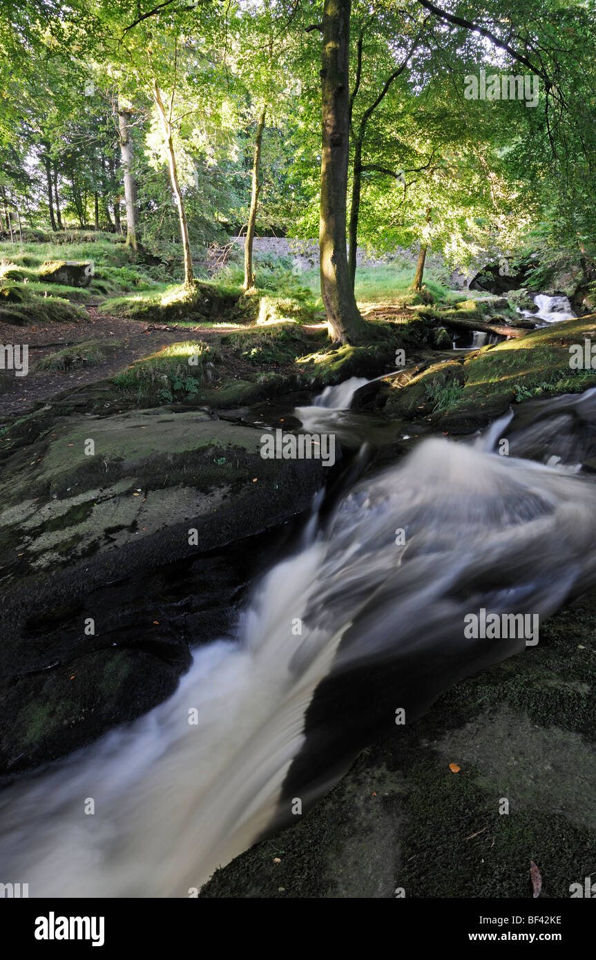 Cloghleagh River waterfall stream Wicklow Ireland Stock Photo - Alamy
