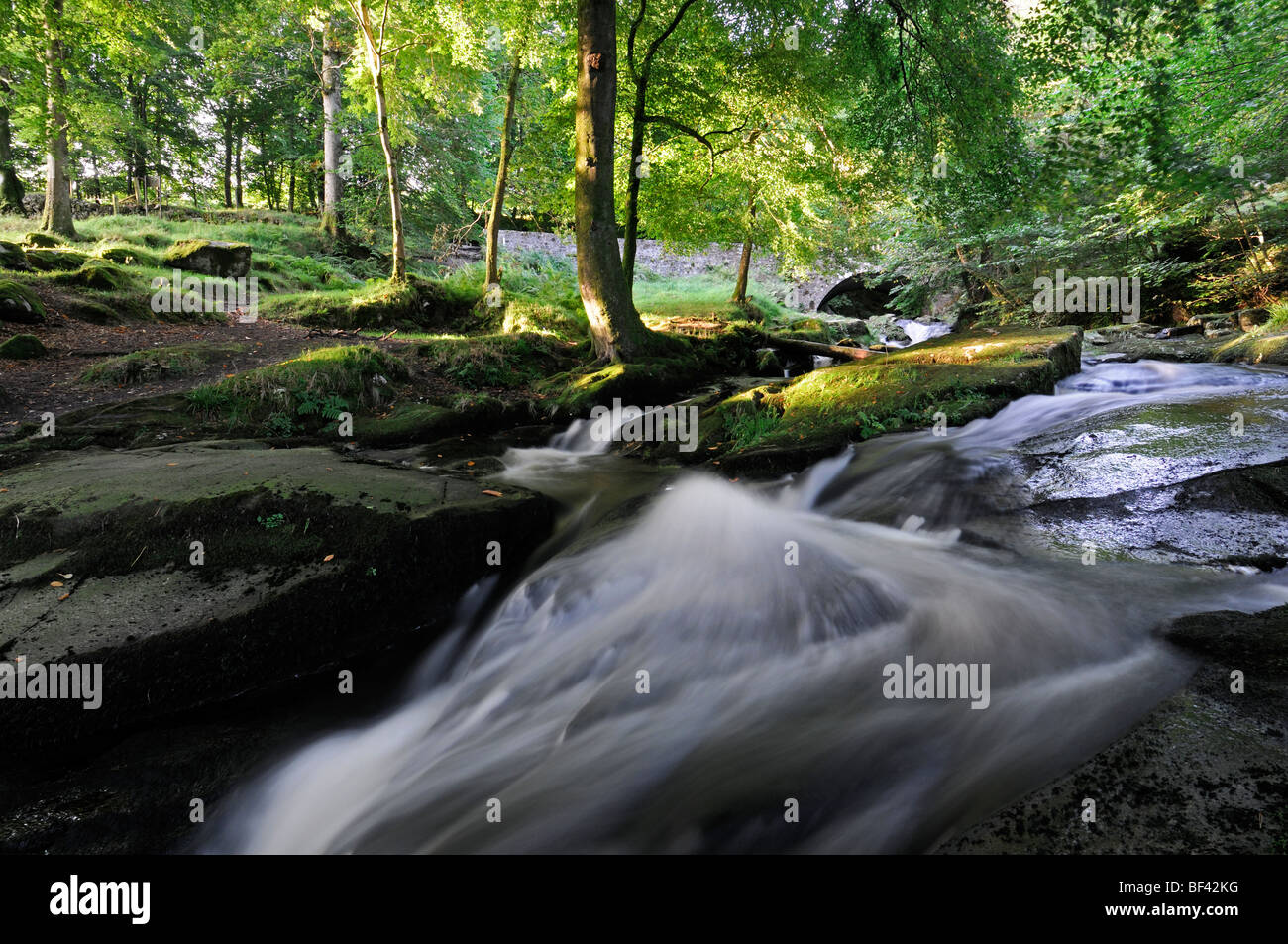 Cloghleagh River waterfall stream Wicklow Ireland Stock Photo - Alamy