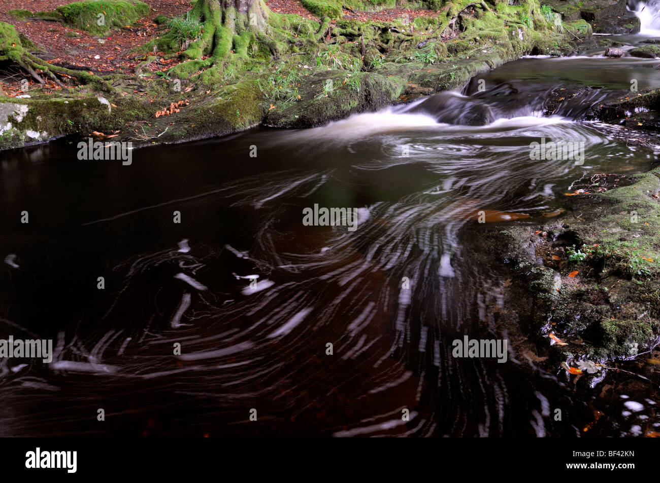 Cloghleagh River waterfall stream Wicklow Ireland Stock Photo - Alamy