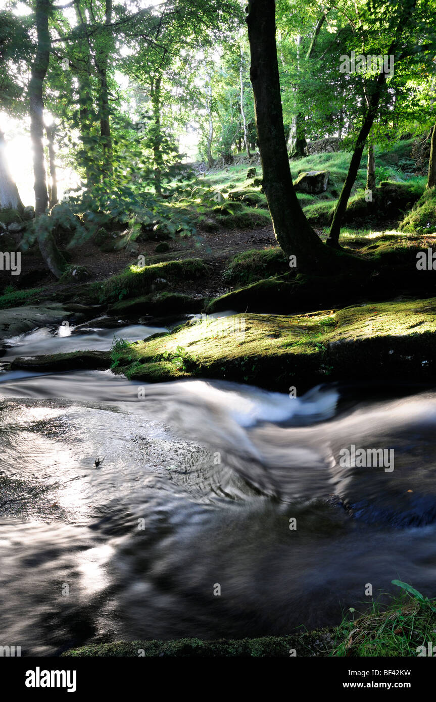 Cloghleagh River waterfall stream Wicklow Ireland Stock Photo - Alamy
