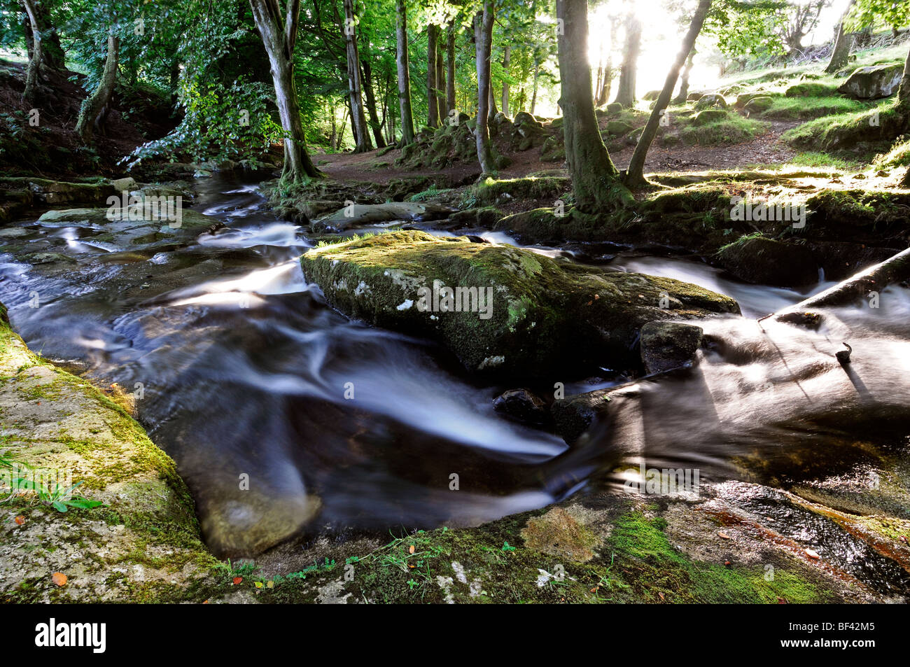 Cloghleagh River waterfall stream Wicklow Ireland Stock Photo - Alamy