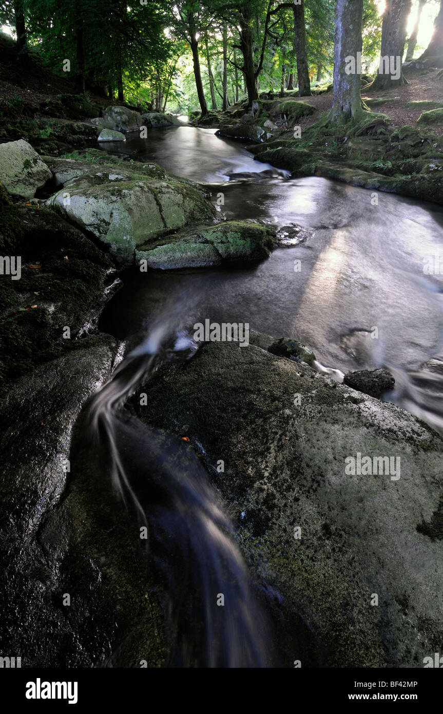 Cloghleagh River waterfall stream Wicklow Ireland Stock Photo - Alamy