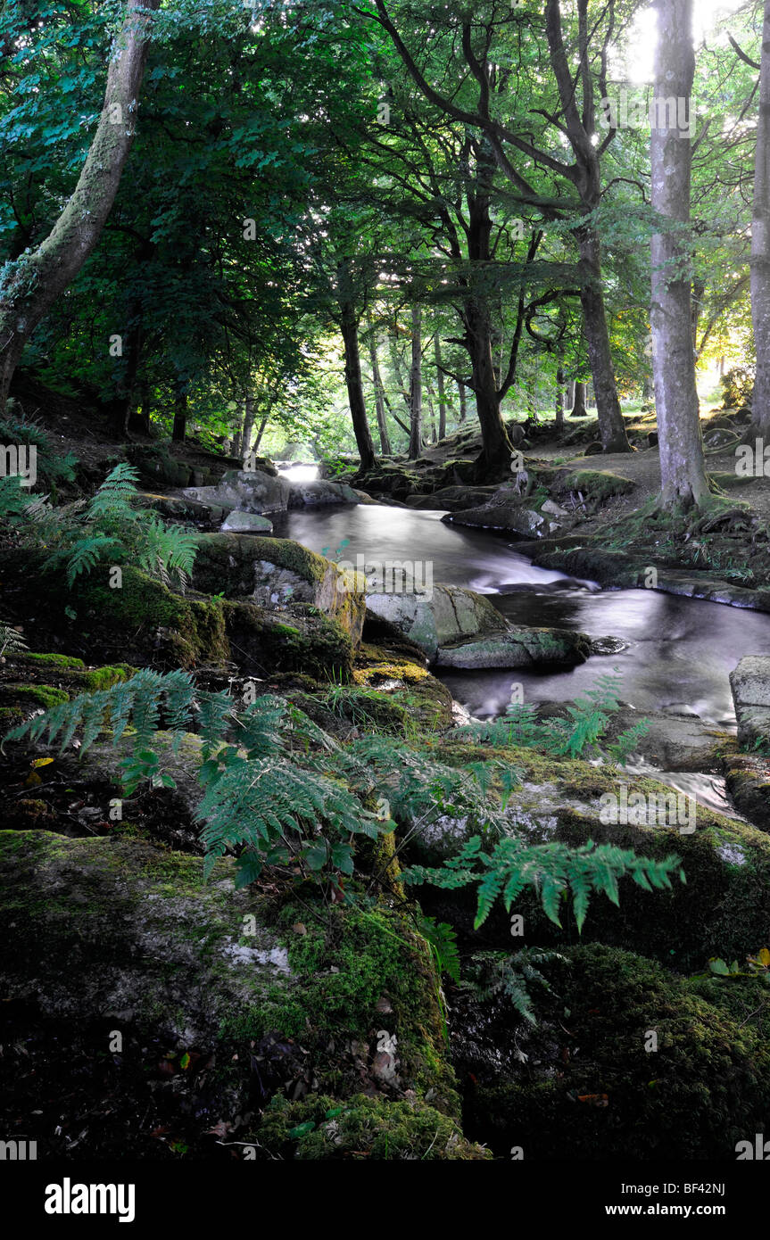 Cloghleagh River waterfall stream Wicklow Ireland Stock Photo - Alamy