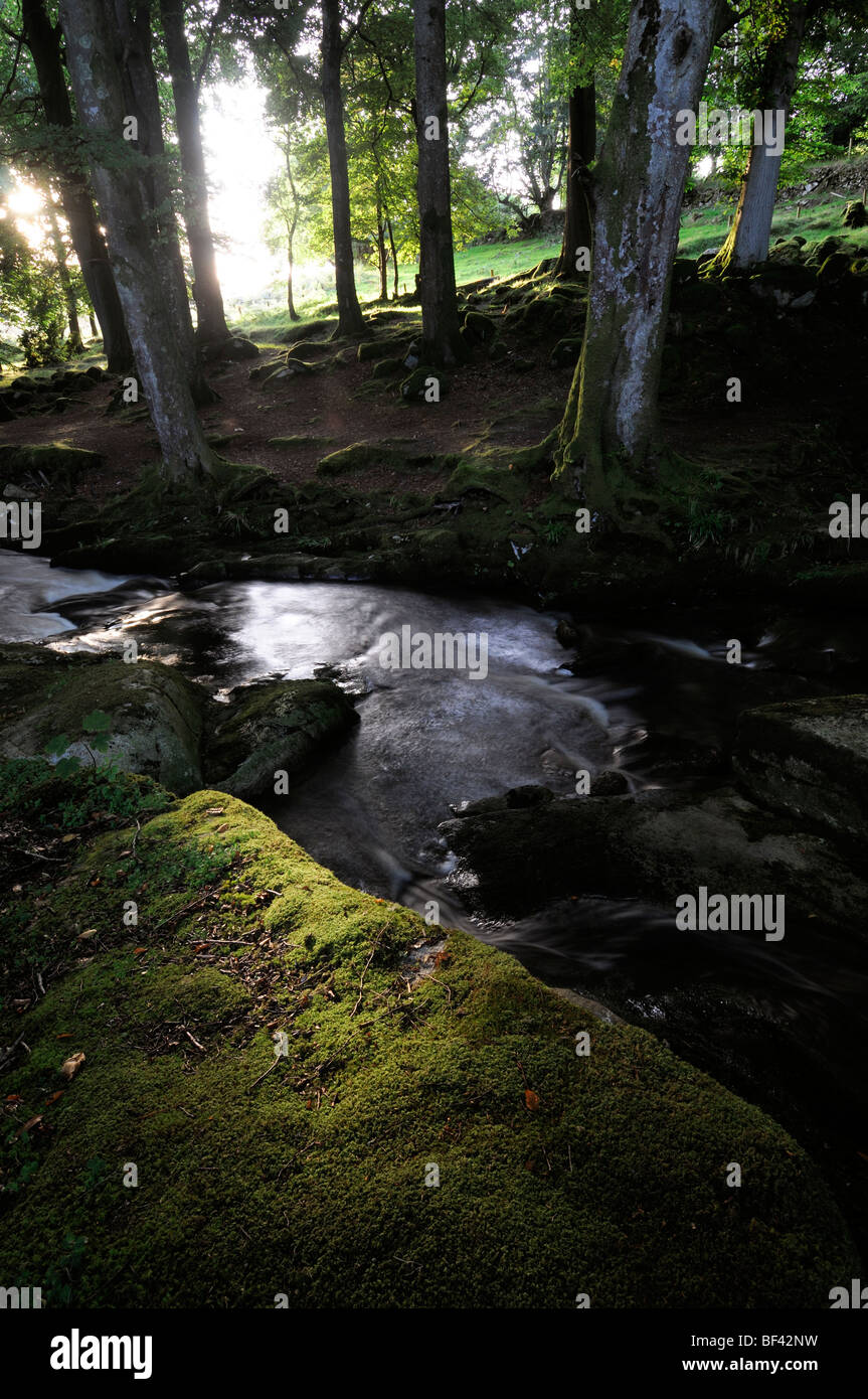 Cloghleagh River waterfall stream Wicklow Ireland Stock Photo - Alamy