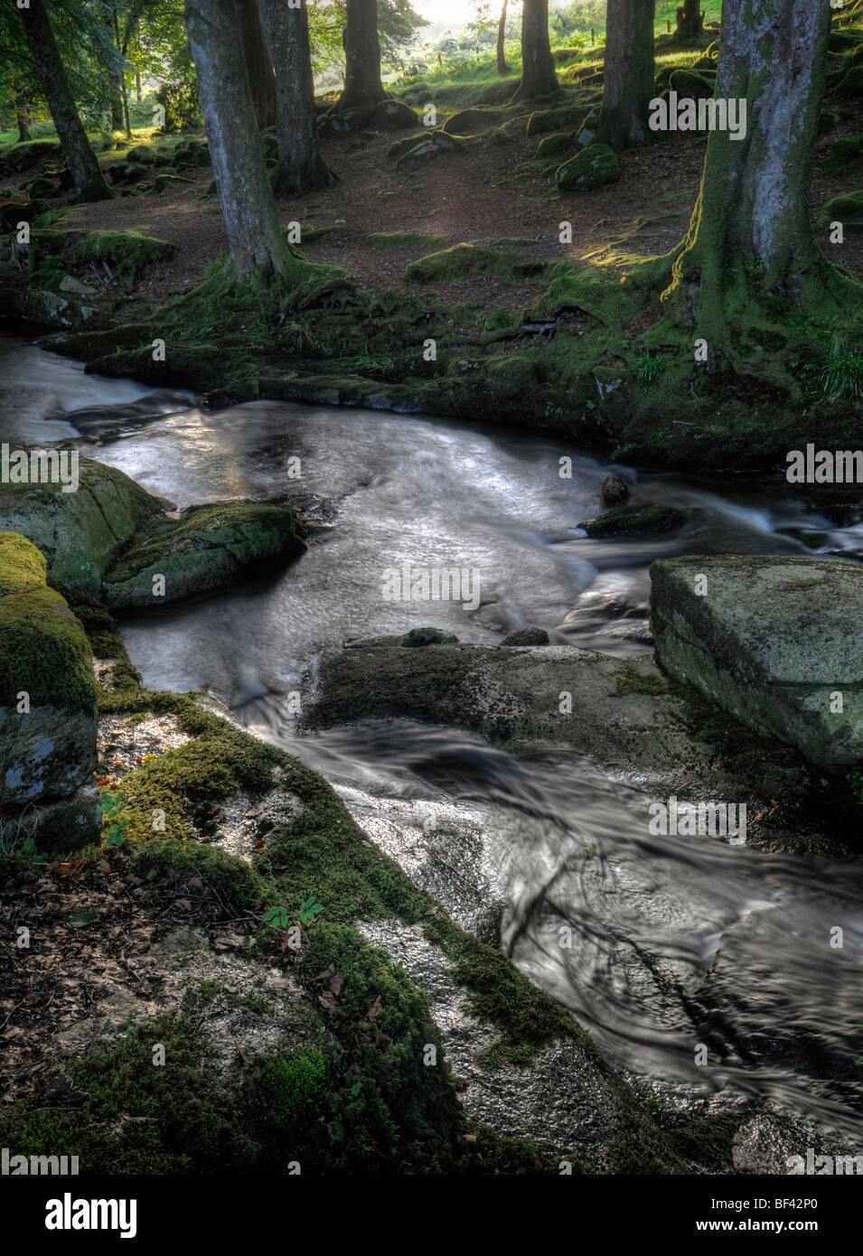 Cloghleagh River waterfall stream Wicklow Ireland Stock Photo - Alamy