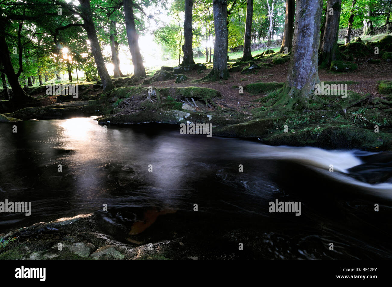 Cloghleagh River waterfall stream Wicklow Ireland Stock Photo - Alamy