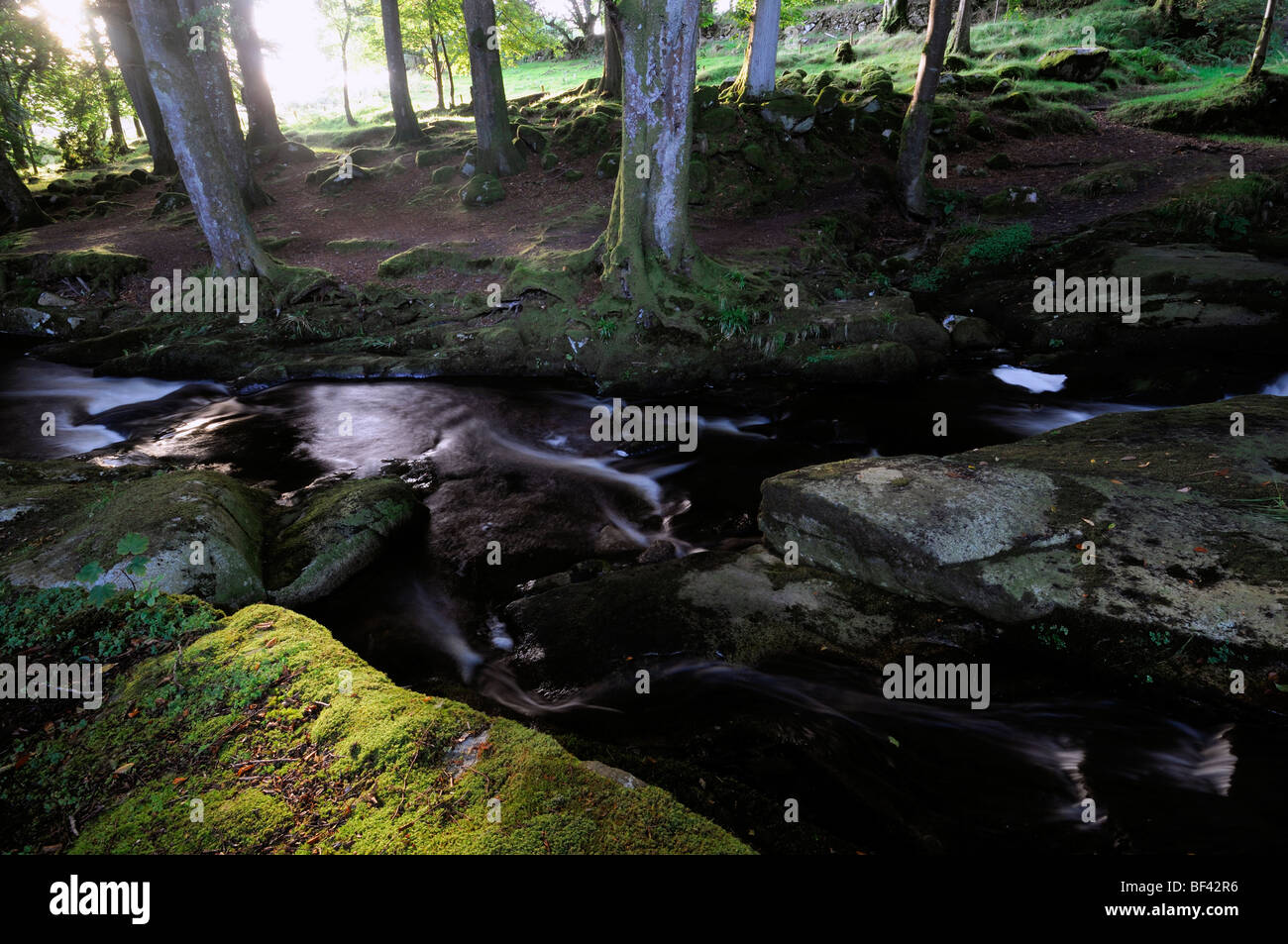 Cloghleagh River waterfall stream Wicklow Ireland Stock Photo - Alamy