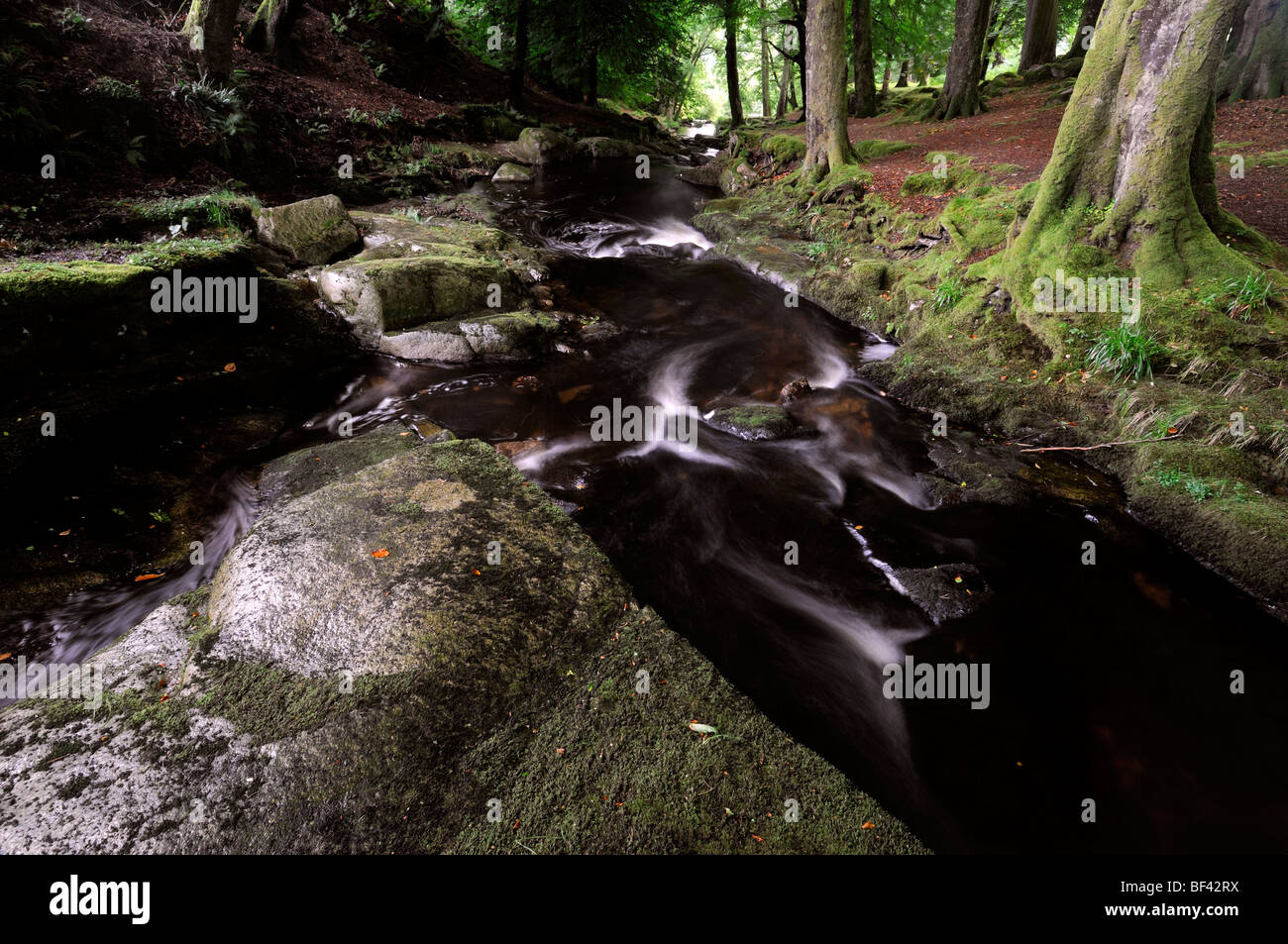 Cloghleagh River waterfall stream Wicklow Ireland Stock Photo - Alamy