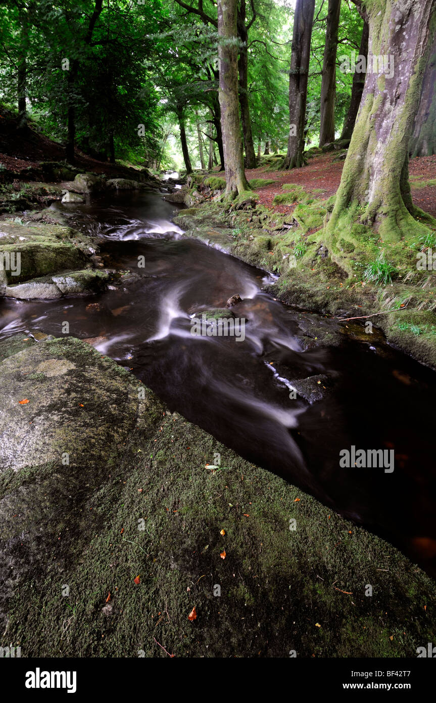 Cloghleagh River waterfall stream Wicklow Ireland Stock Photo - Alamy