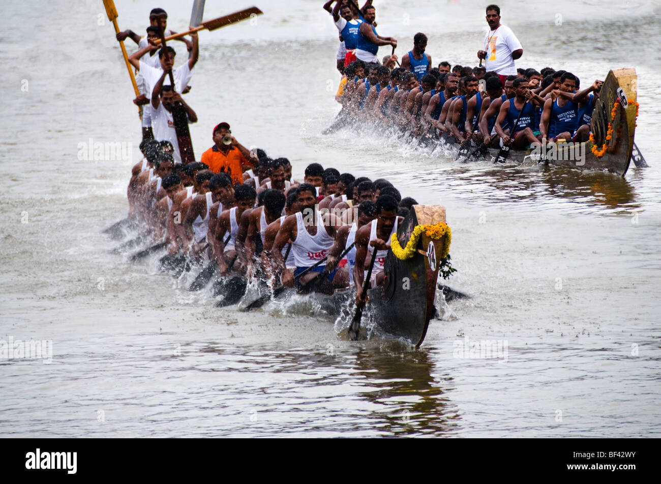 Boat race during onam celebrations in Kerala, India Stock Photo - Alamy