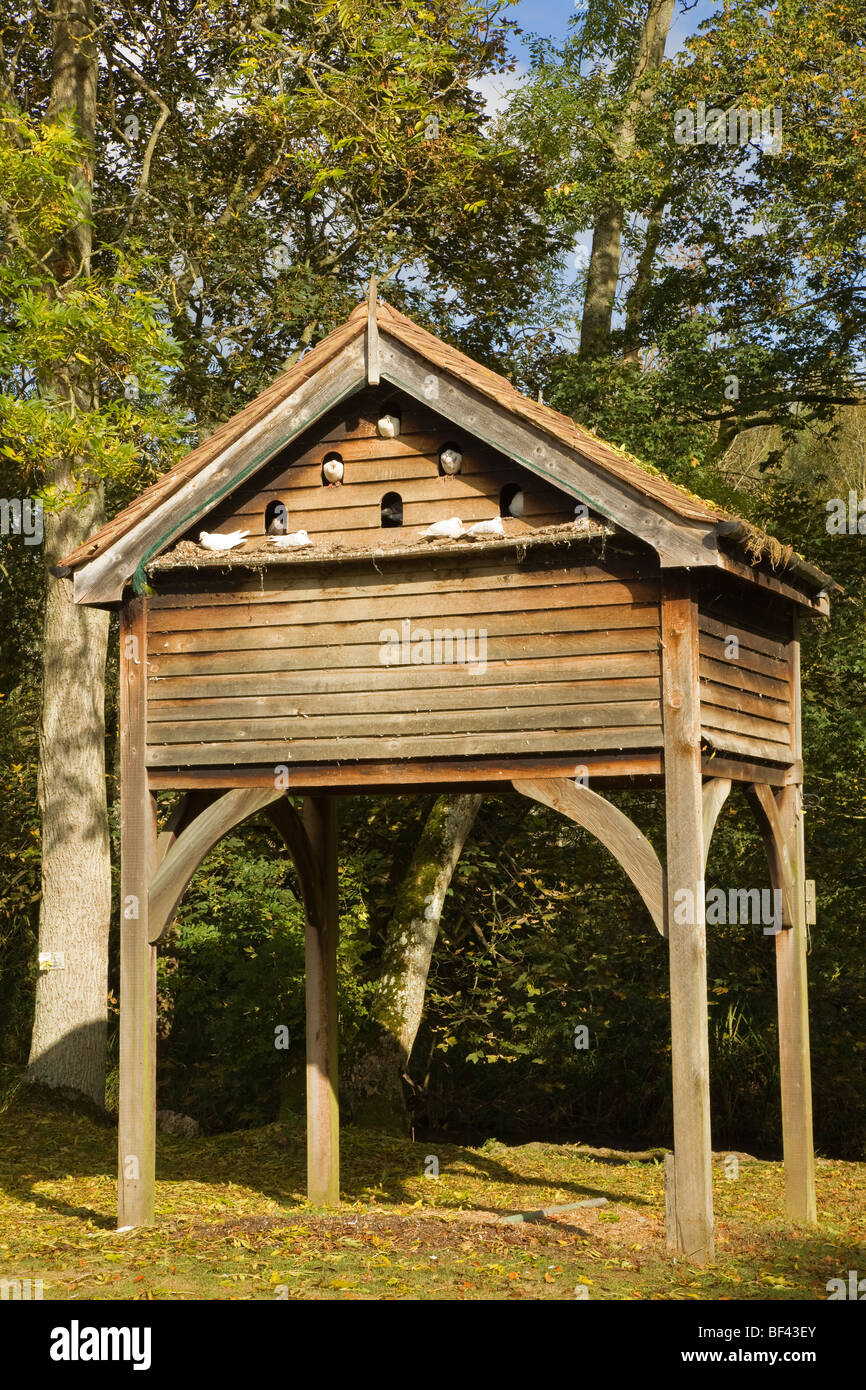 Doves at dovecote hi-res stock photography and images - Alamy