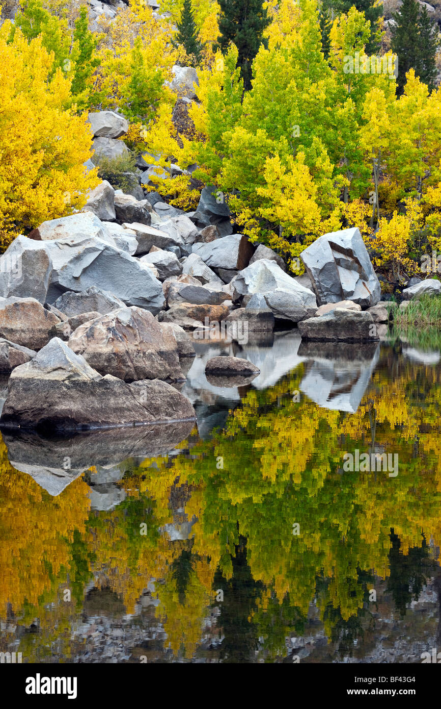 A mirror reflection of large granite boulders and autumn aspen trees ...