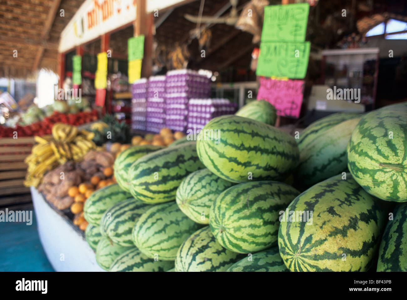 Watermelons in an outside market Stock Photo - Alamy