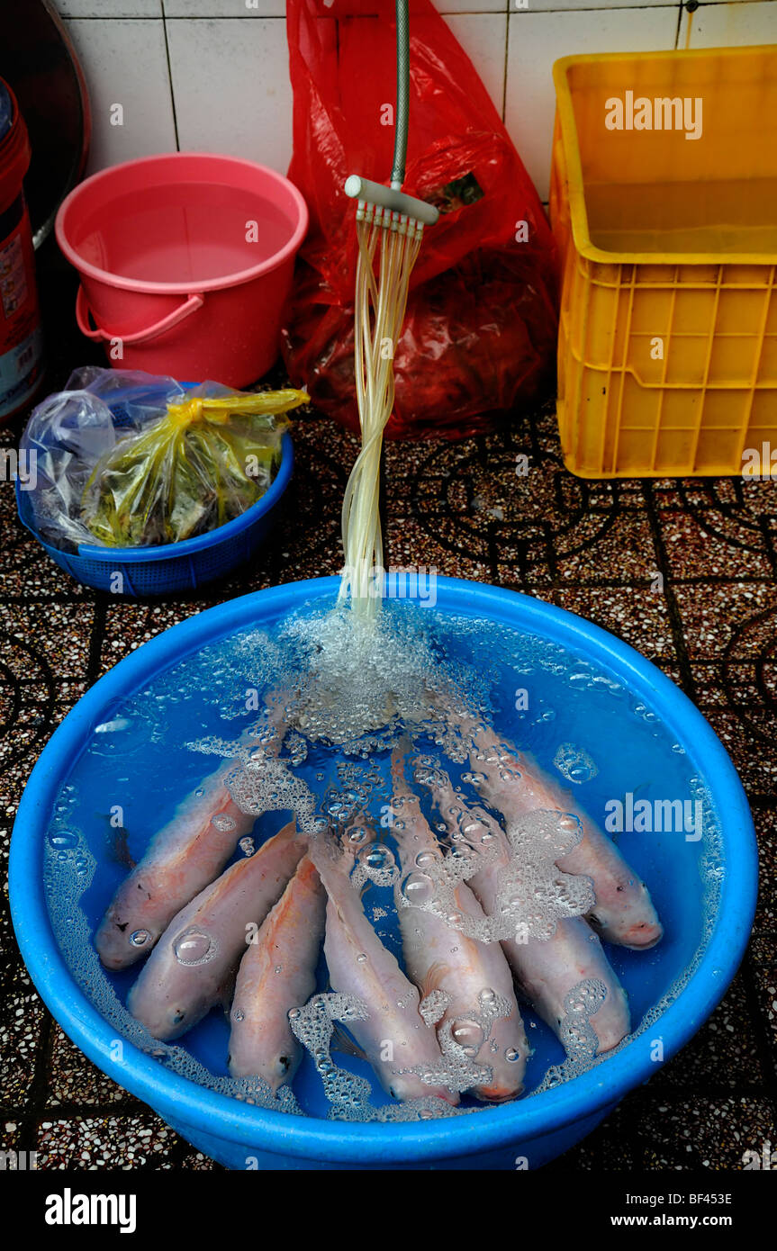 live alive living fish shallow container water crowded local produce ...